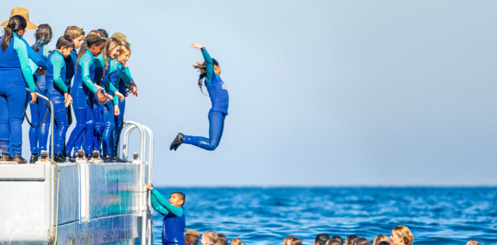 Catalina Island Marine Institute - Guided Discoveries
